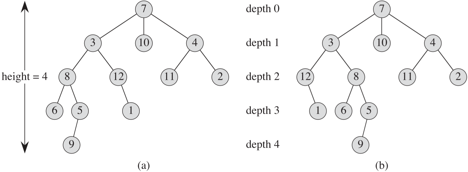 알고리즘 수학 기본-트리 | 🧠SUBBRAIN